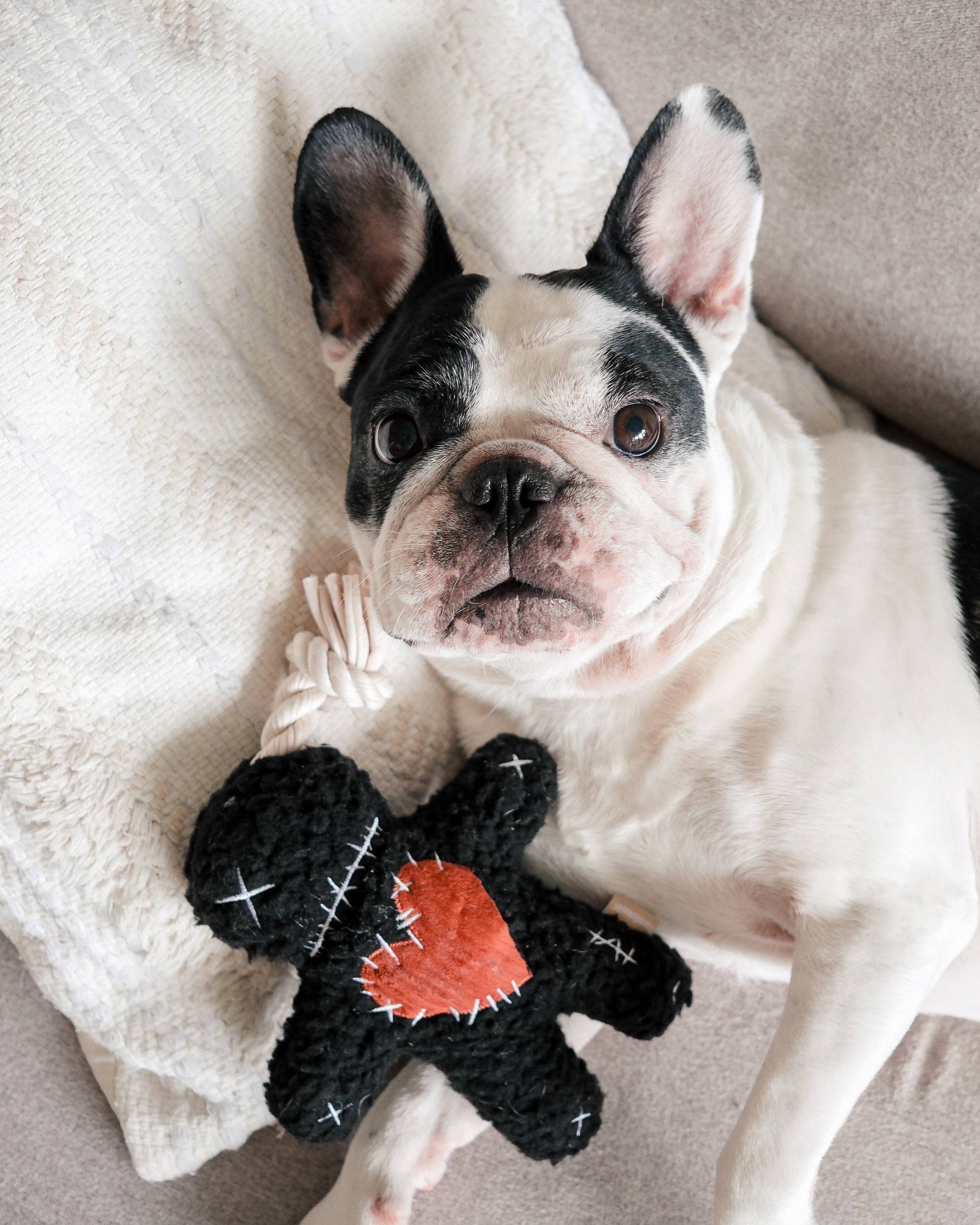 Products – Page 8 – Pretty Good Boy