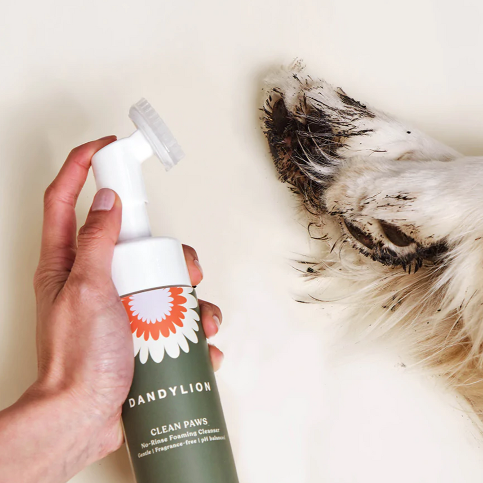 Products – Page 42 – Pretty Good Boy