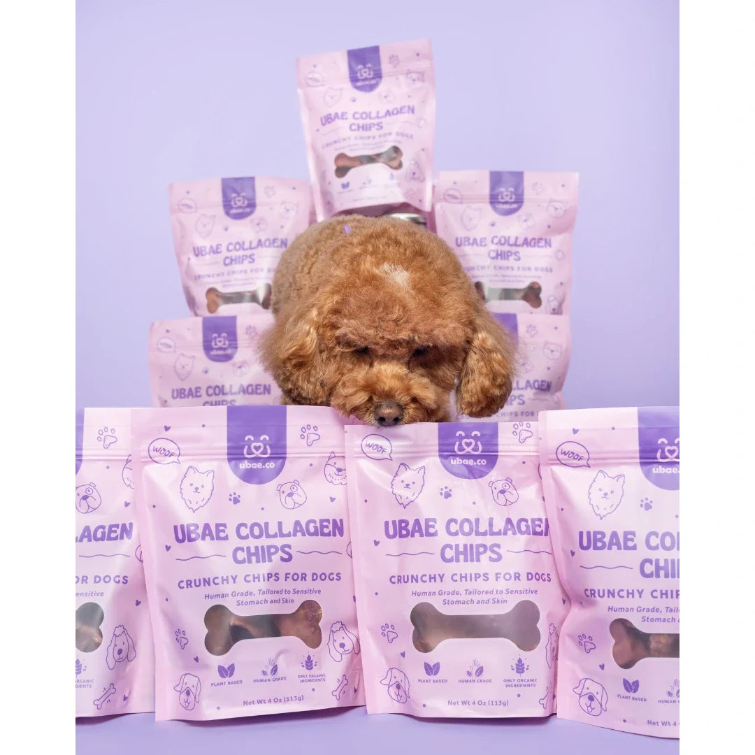 Ubae.co | Ubae Collagen Chips | Pretty Good Boy