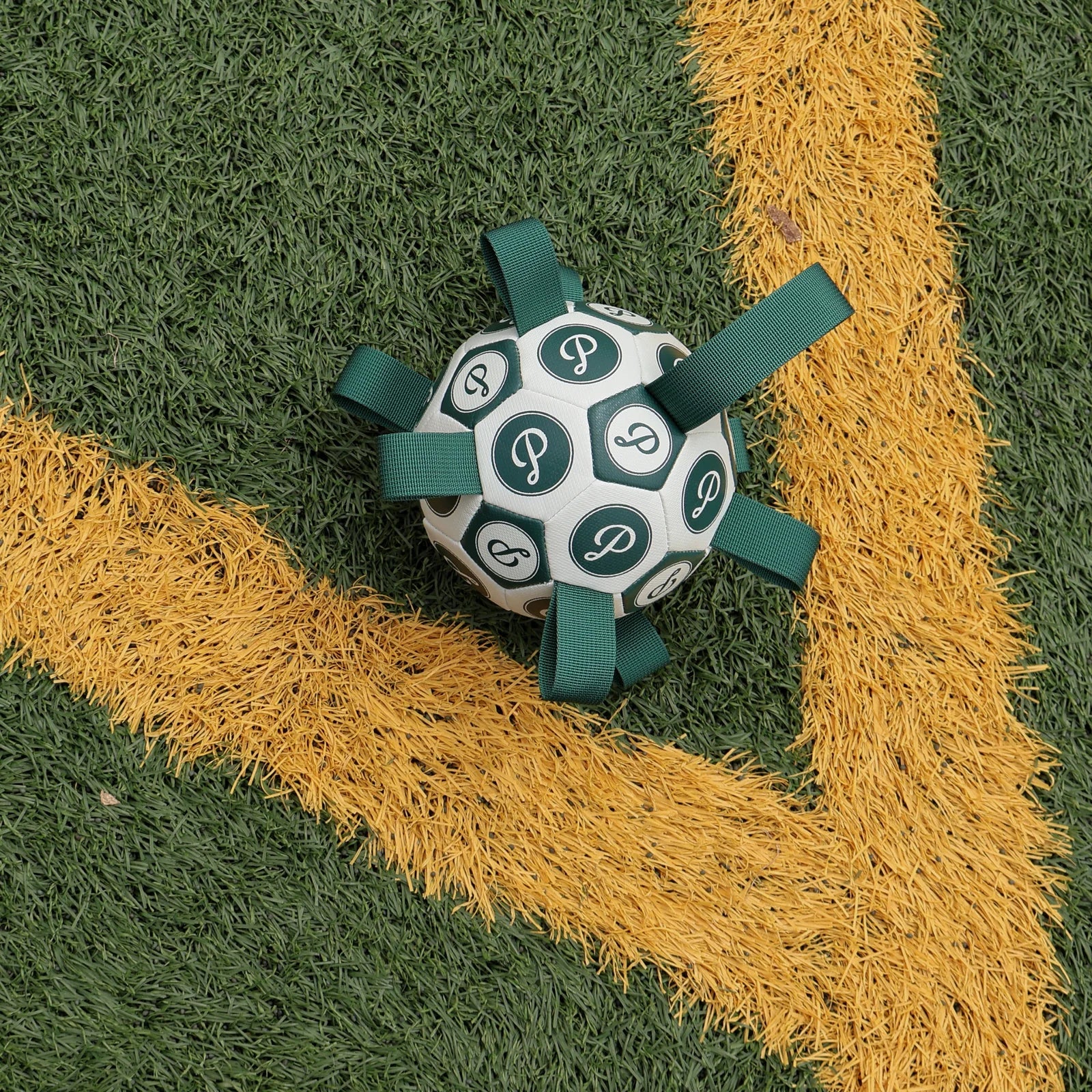 pupp st. | Puppster Soccer Ball | Pretty Good Boy